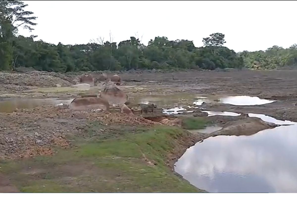 Rio que abastece cidade de 58 mil em MT seca, e água é racionada há um mês